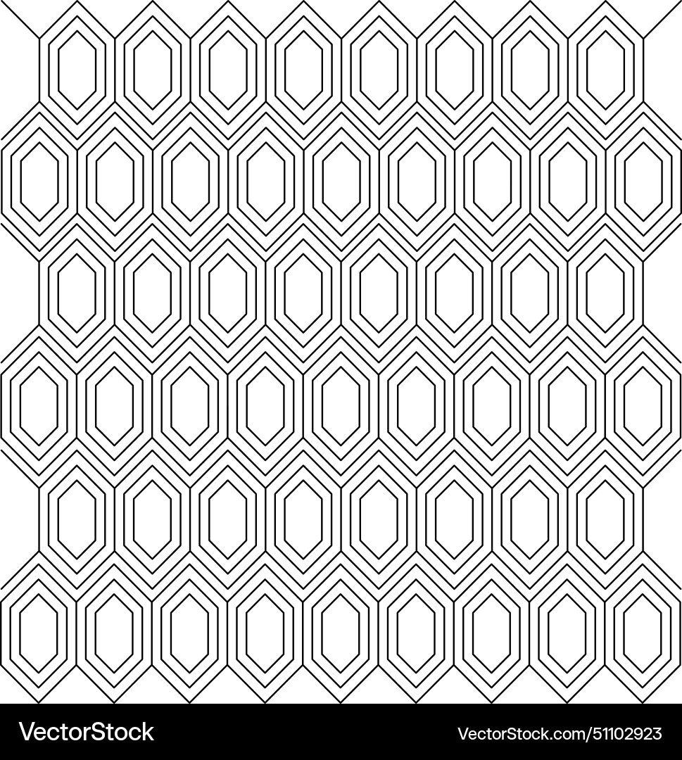 Black white luxury hexagonal pattern Royalty Free Vector