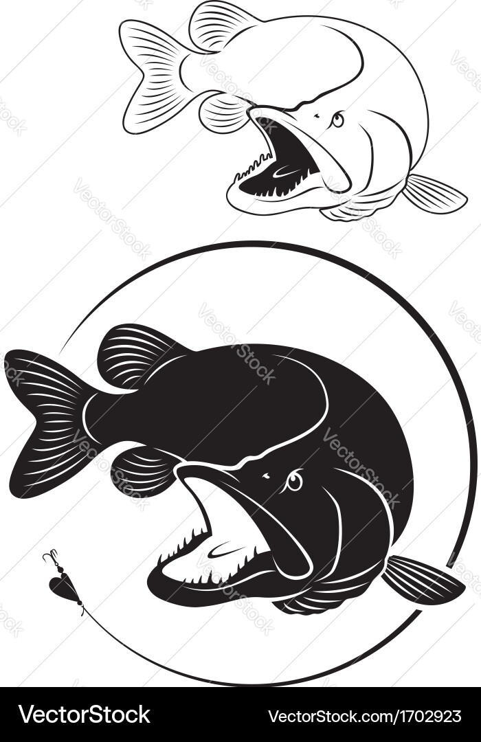 Fish pike Royalty Free Vector Image - VectorStock