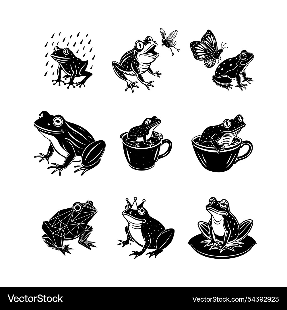 Frog image Royalty Free Vector Image - VectorStock