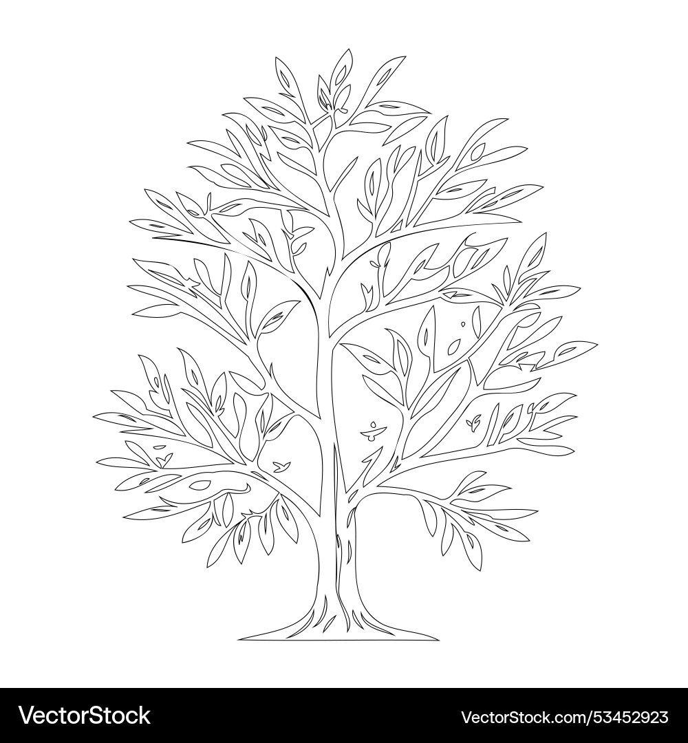 Maple tree nature outline sketch Royalty Free Vector Image