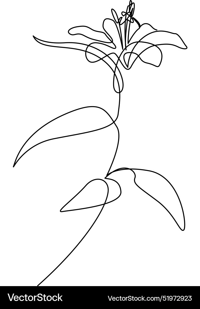 One Continuous Line Drawing Of Elegant Lily Flower