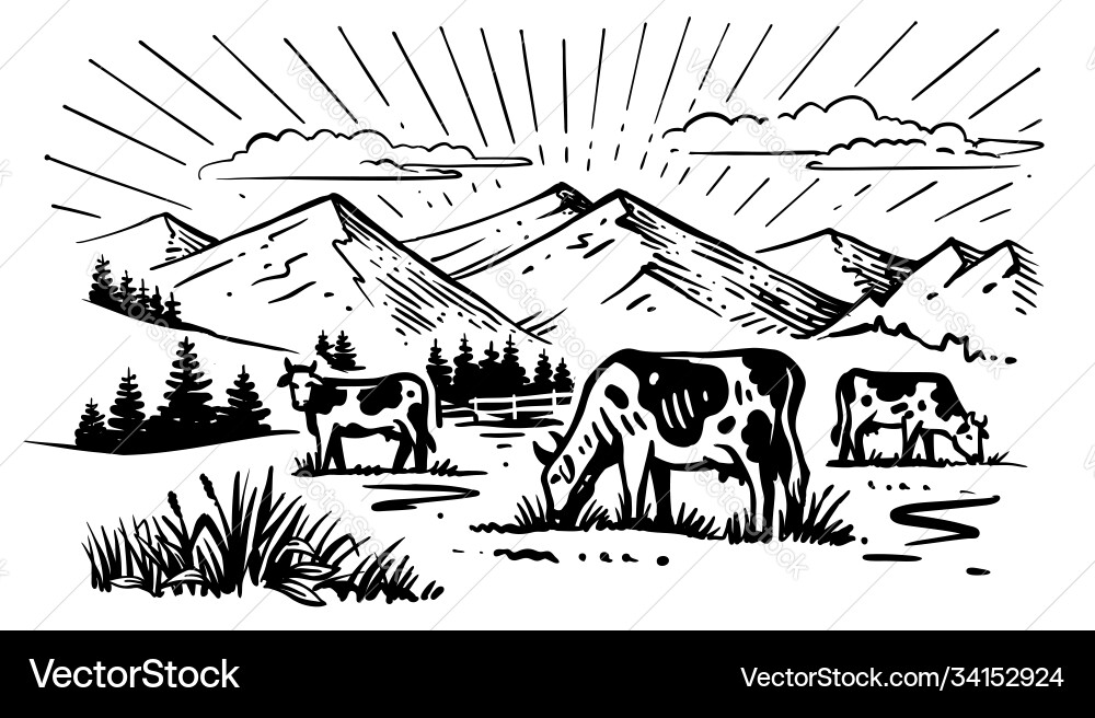 Cows chewing grass on background farm Royalty Free Vector