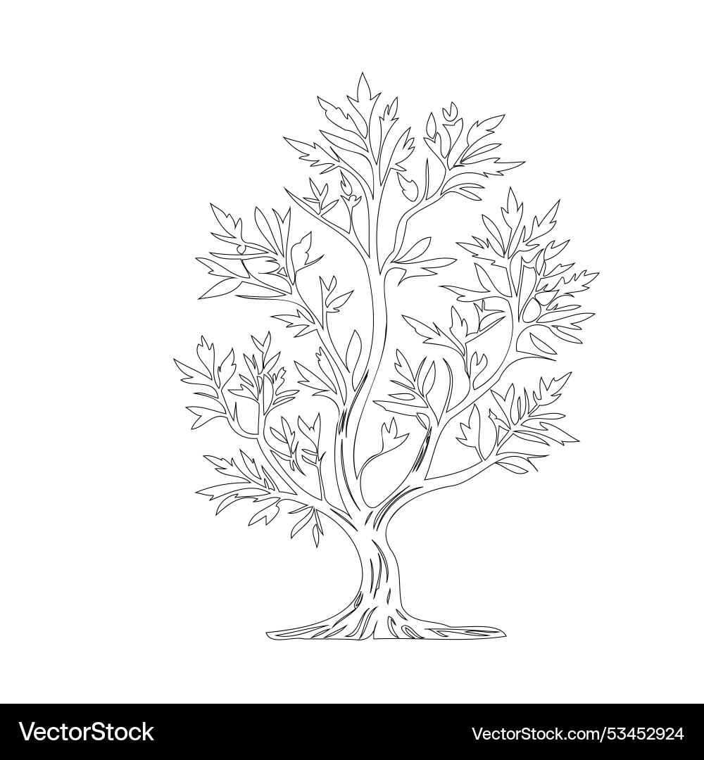 Maple tree nature outline sketch Royalty Free Vector Image