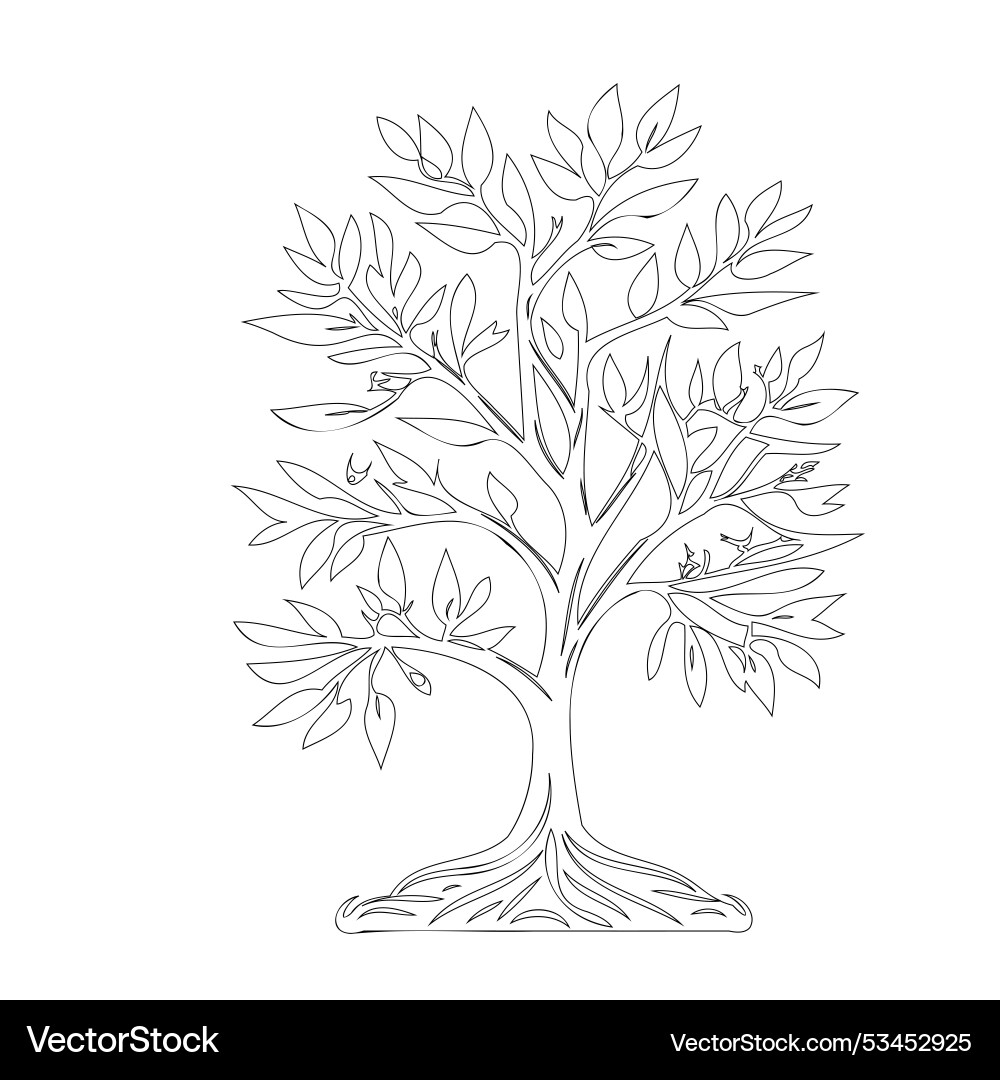 Maple tree nature outline sketch Royalty Free Vector Image