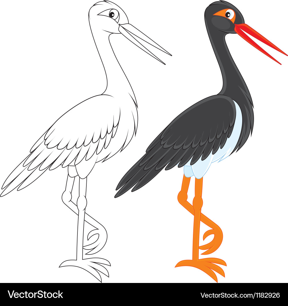 Black stork Royalty Free Vector Image - VectorStock