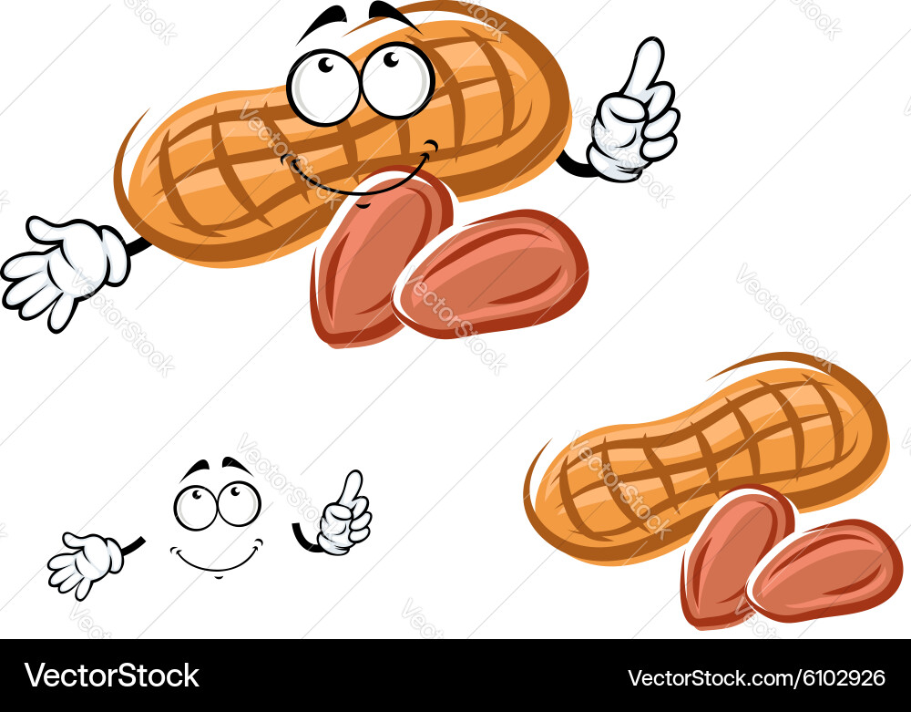 Cartoon orange peanut and nuts Royalty Free Vector Image