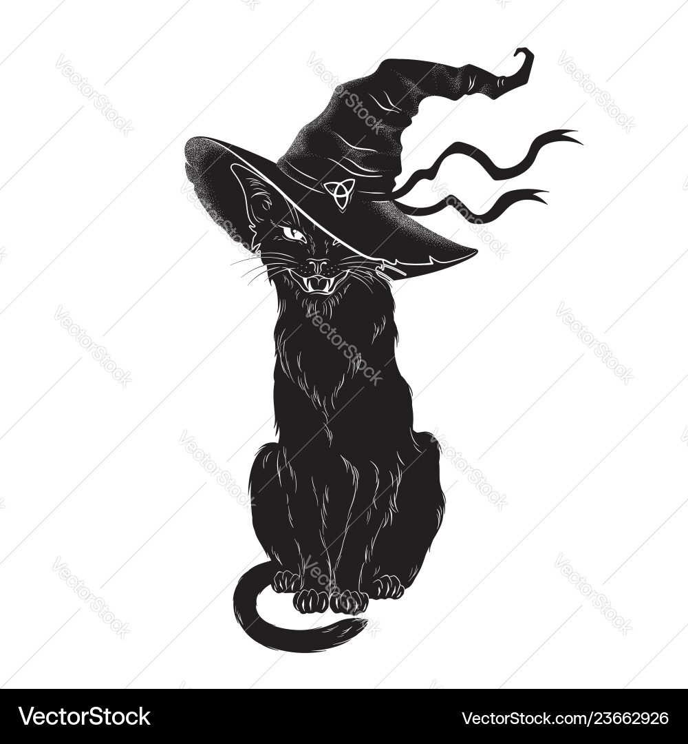 Witch Cat with Pointed Hat Royalty Free Vector Image