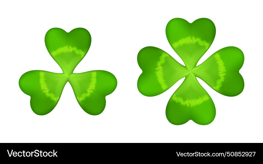 Realistic shamrock icon clover three leaves logo Vector Image