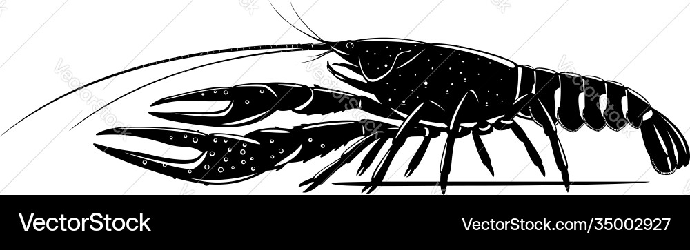 Red Swamp Crayfish - Detailed Side View Royalty Free Vector