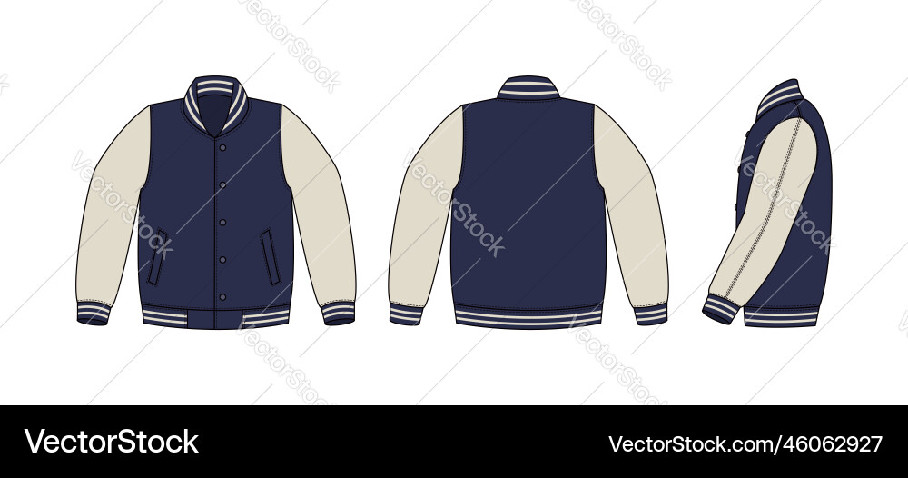 Varsity jacket baseball template Royalty Free Vector Image