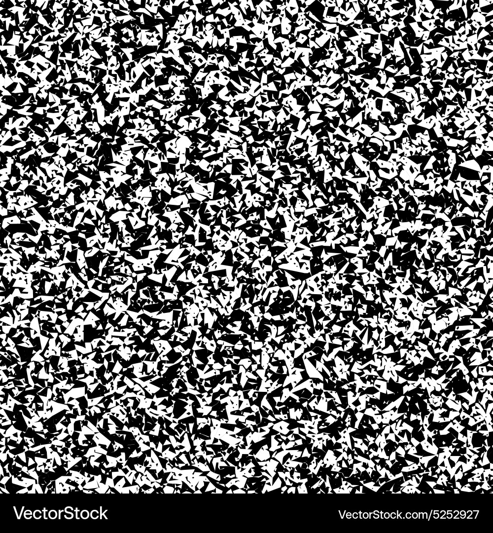 White noise black and pattern Royalty Free Vector Image