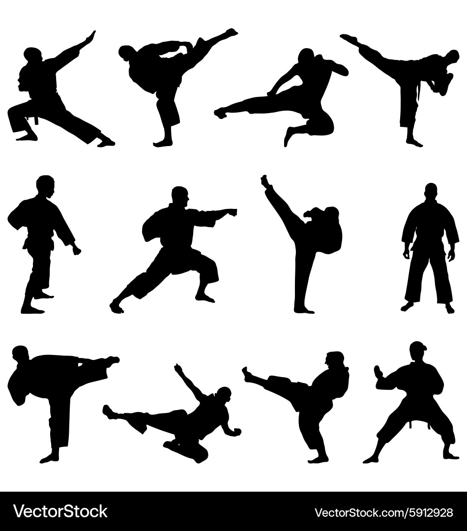 Karate fighting Royalty Free Vector Image - VectorStock