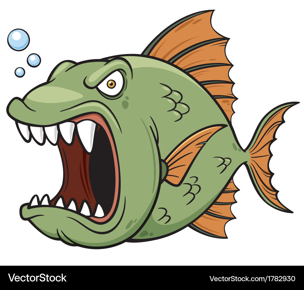 Angry fish Royalty Free Vector Image - VectorStock