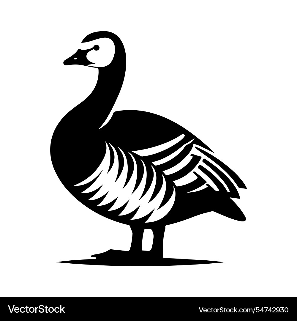 Barnacle goose silhouette - perfect for graphic Vector Image