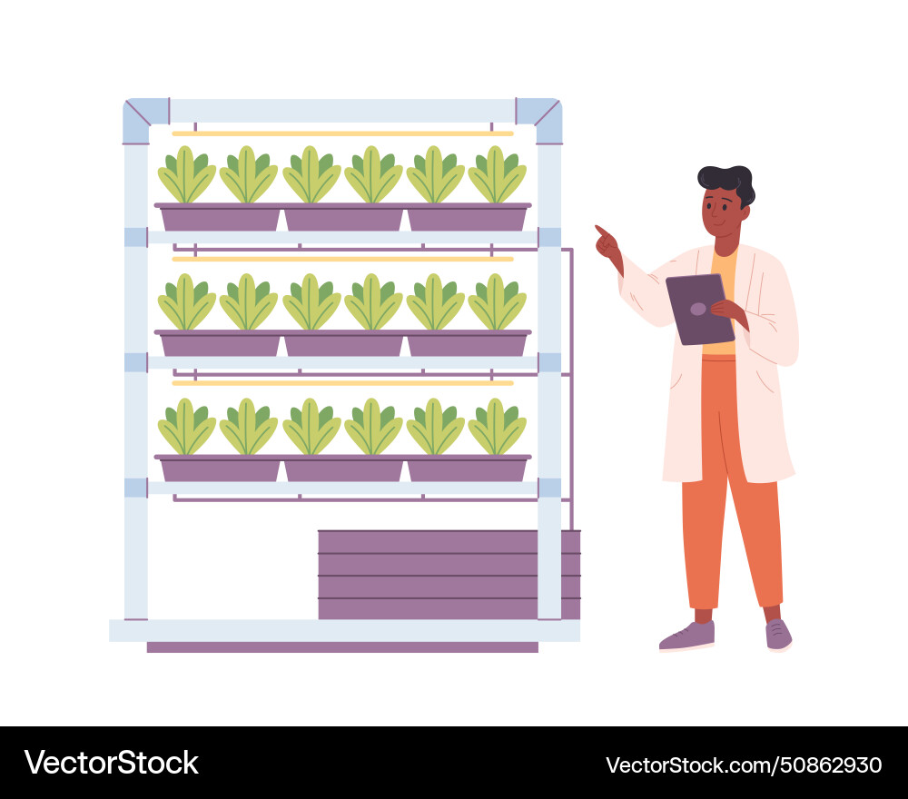 Hydroponics technology for plants growing Vector Image