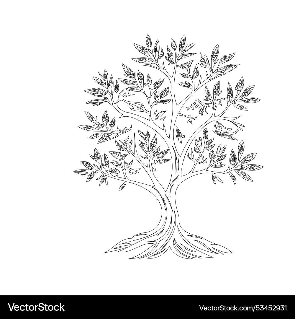 Maple tree nature outline sketch Royalty Free Vector Image