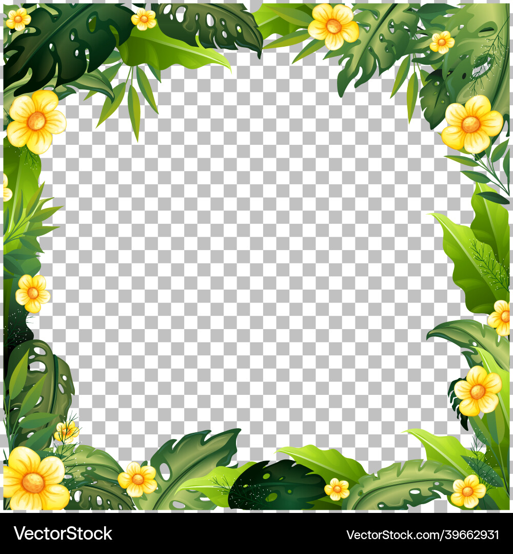 Nature plants frame transparent background Vector Image
