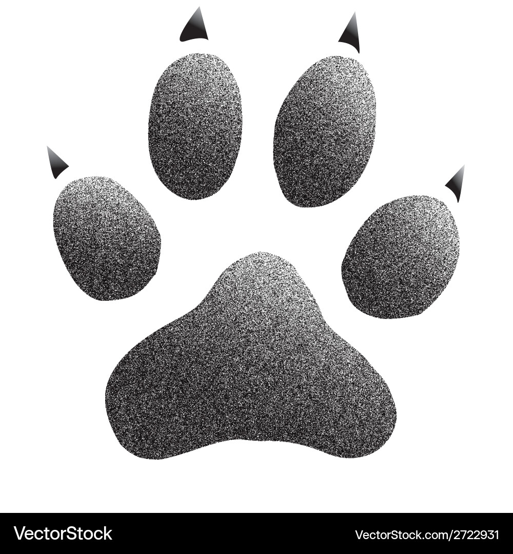 Paw print Royalty Free Vector Image - VectorStock