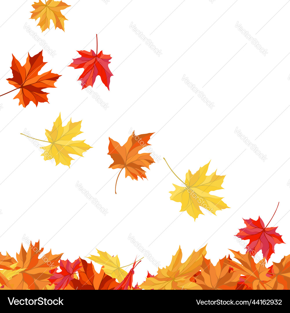 Autumn Maple Leaf Frame Royalty Free Vector Image
