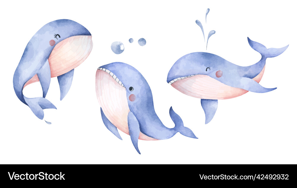 Cute Blue Whale Watercolor Set Royalty Free Vector Image