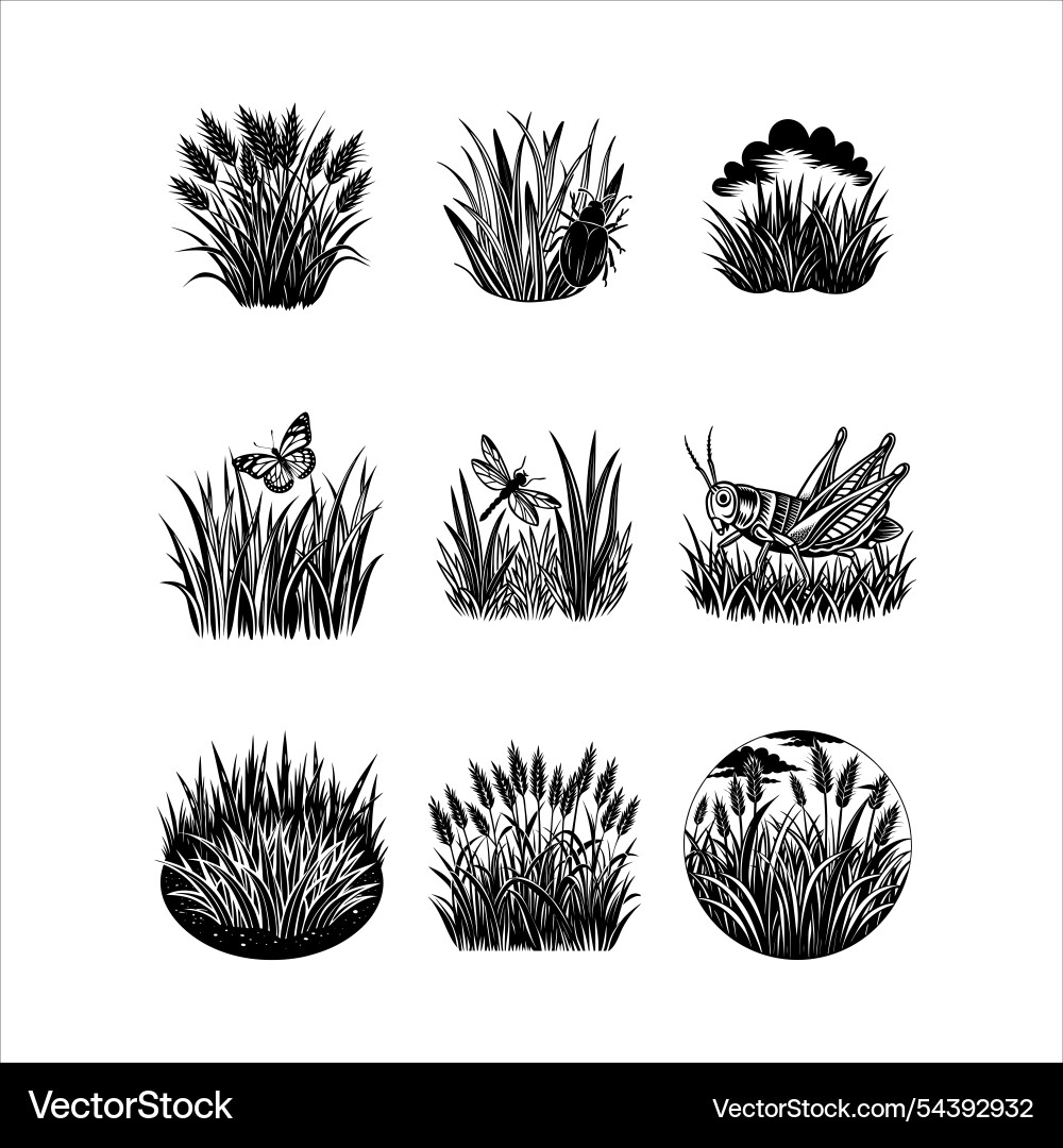 Grass image Royalty Free Vector Image - VectorStock