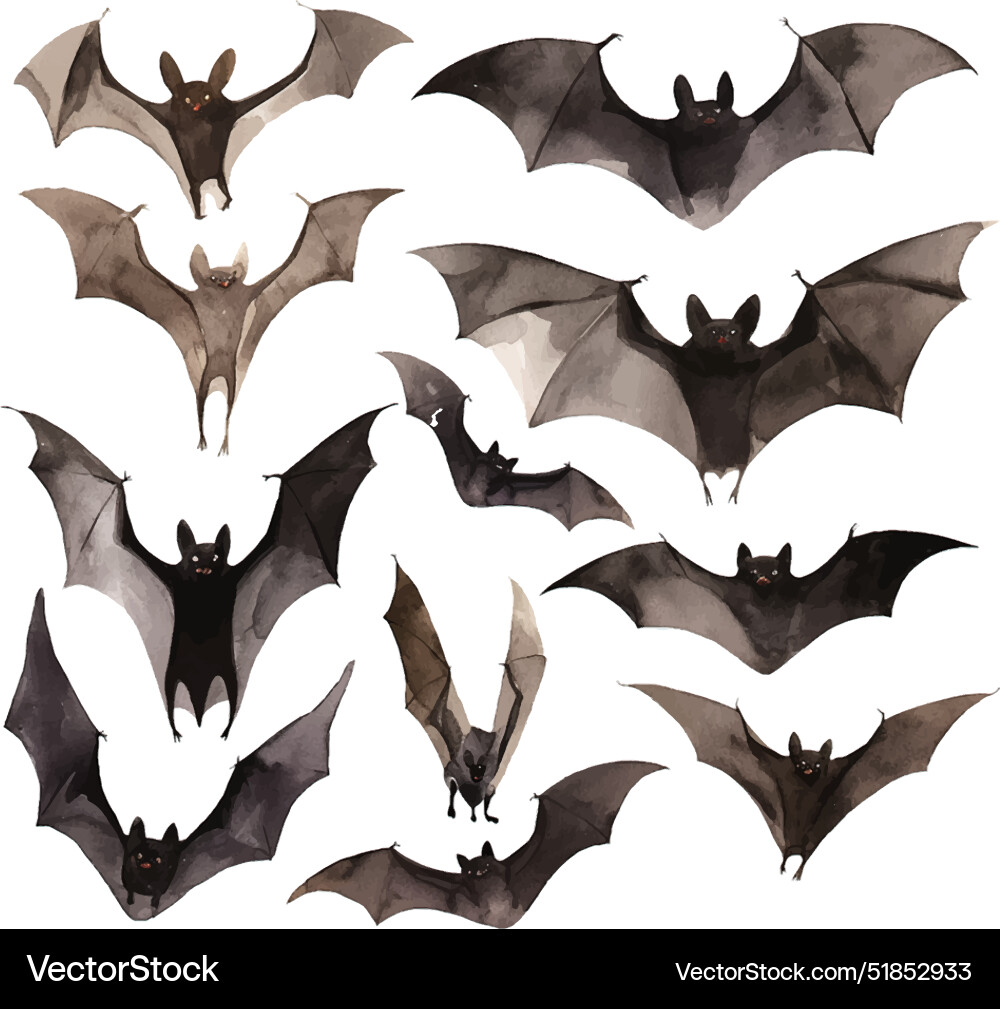 A collection of bats in various sizes Royalty Free Vector