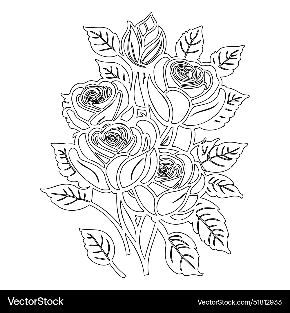 Roses flower outline sketch Royalty Free Vector Image