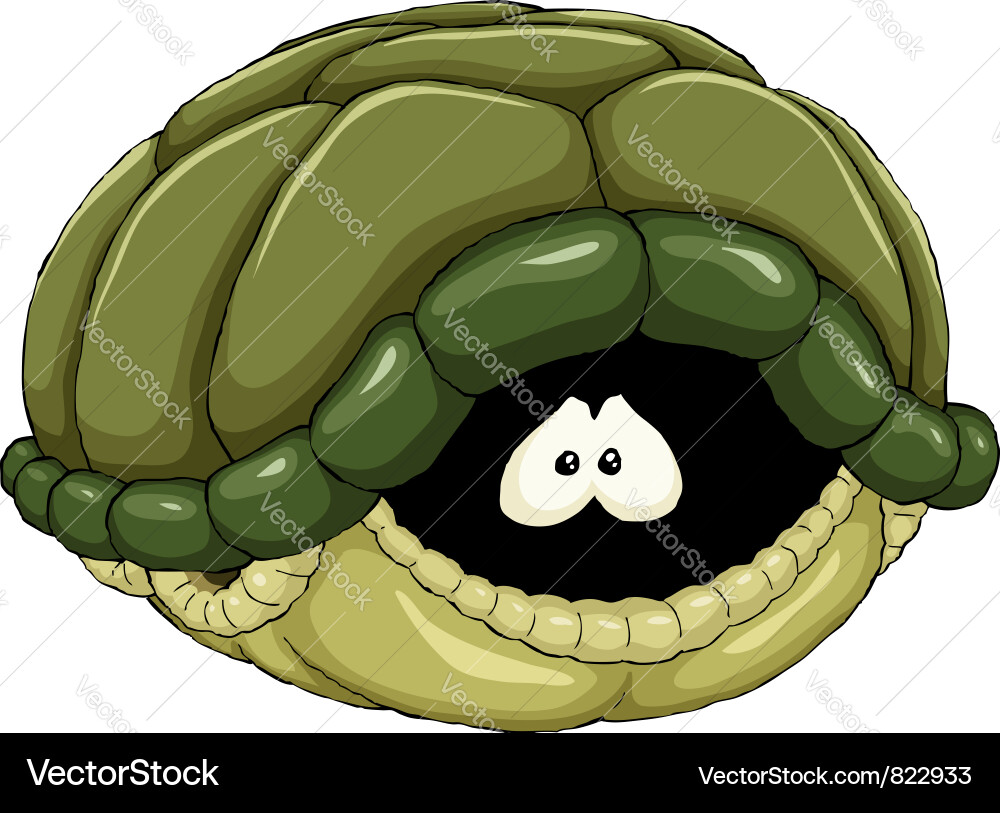 Tortoise shell Royalty Free Vector Image - VectorStock