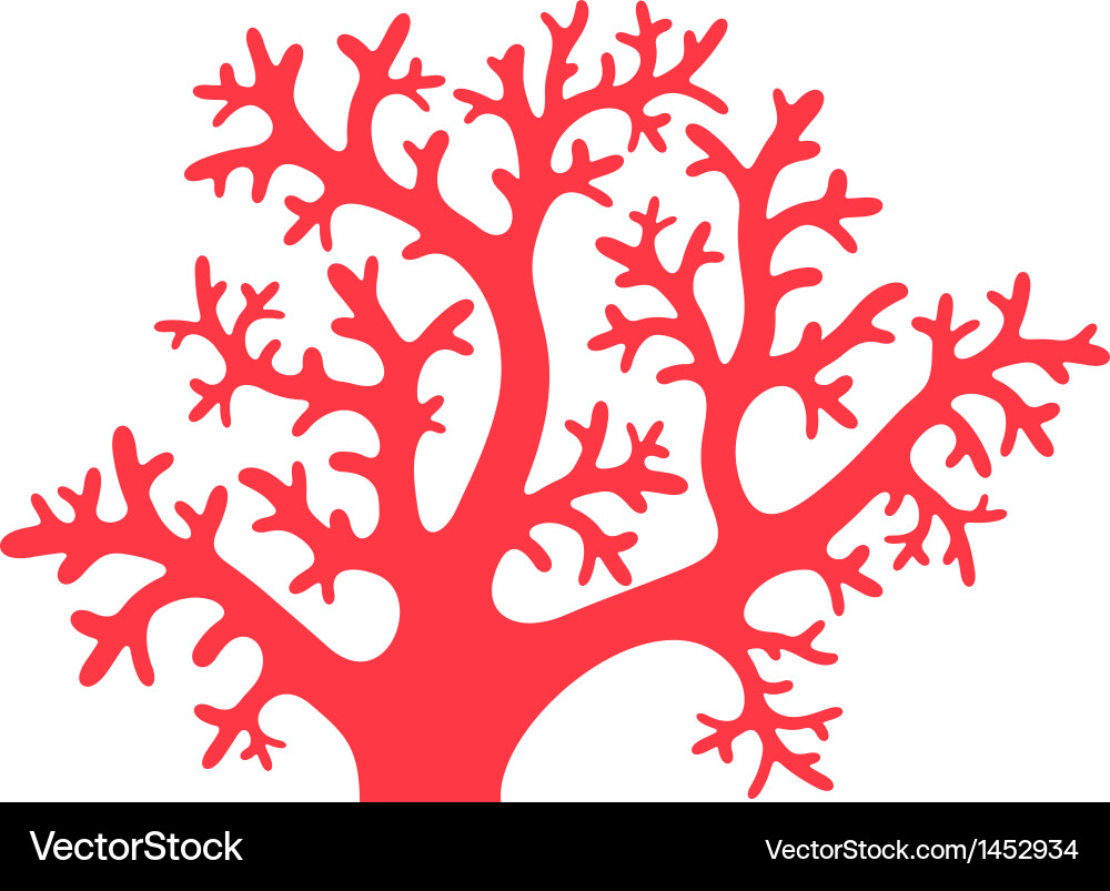 Coral Royalty Free Vector Image - VectorStock