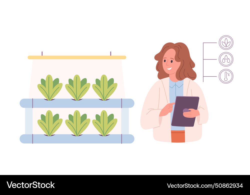 Hydroponics technology for plants growing Vector Image