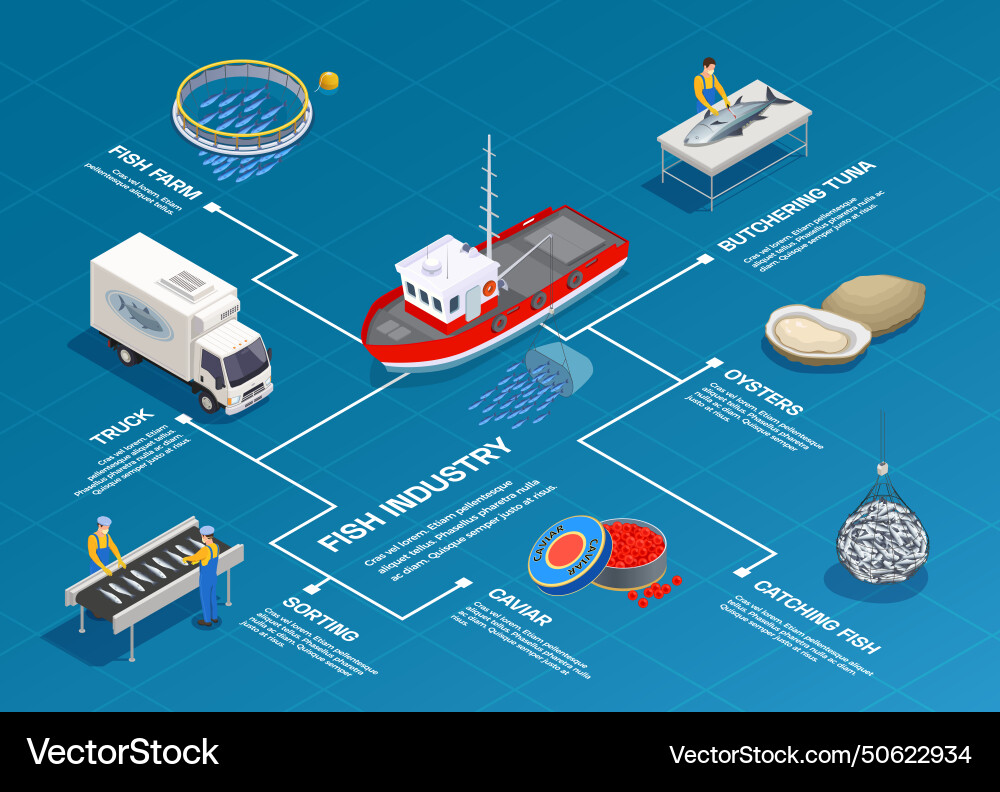 Isometric fish industry flowchart Royalty Free Vector Image