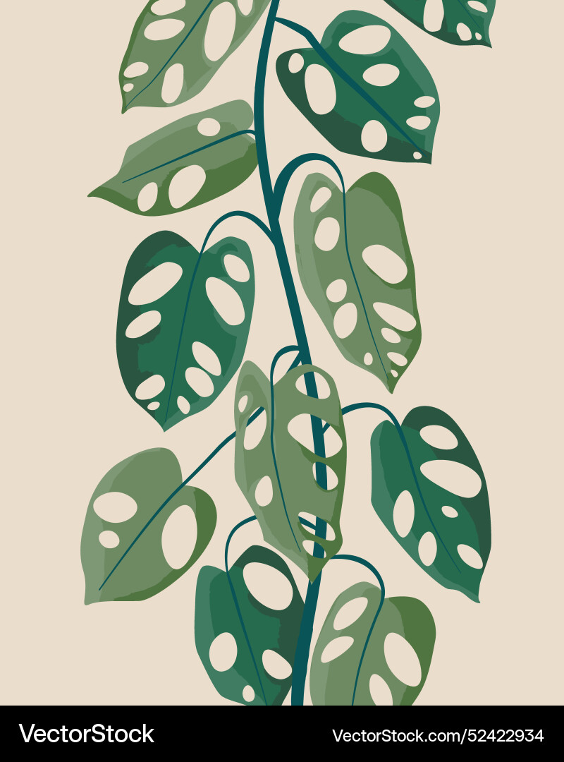 Monstera plant branch background Royalty Free Vector Image