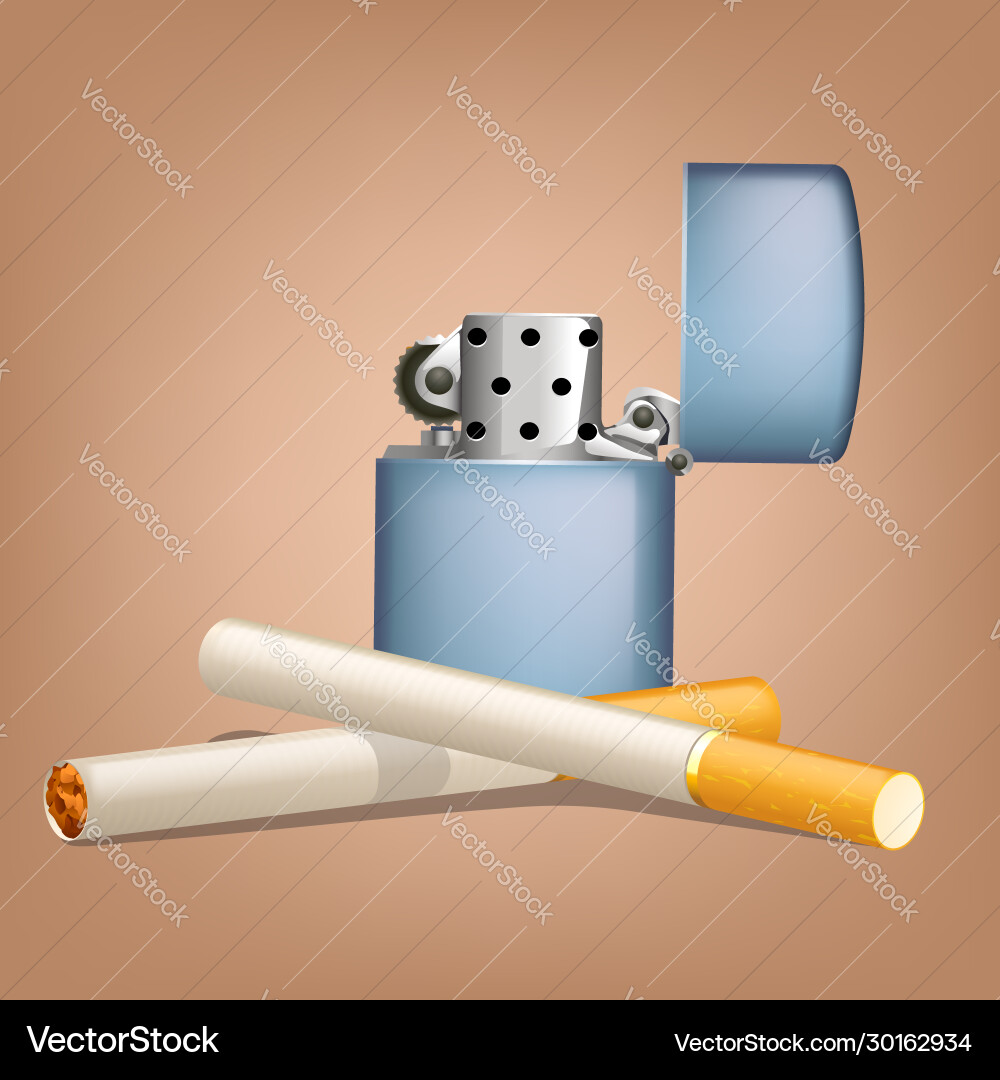 Smoking cigarettes with zippo Royalty Free Vector Image