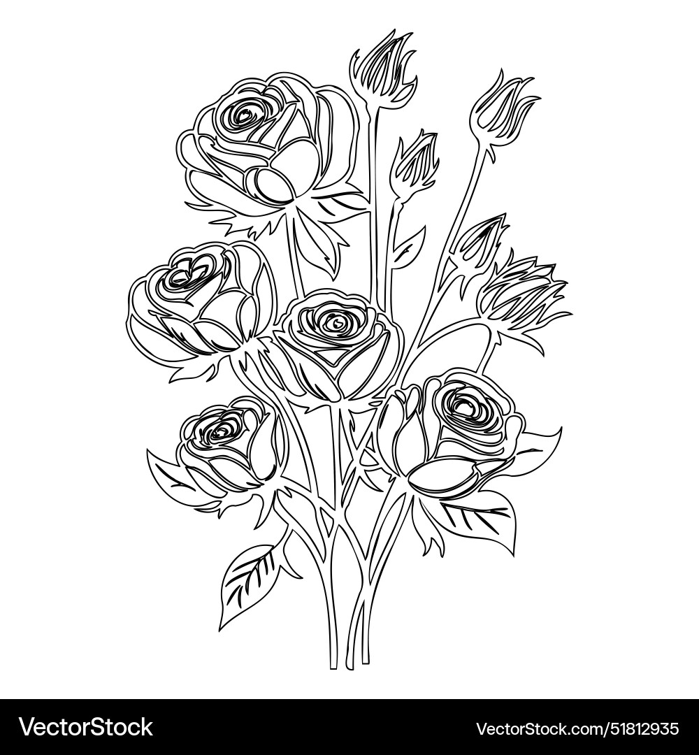 Rose Flower Vector Outline