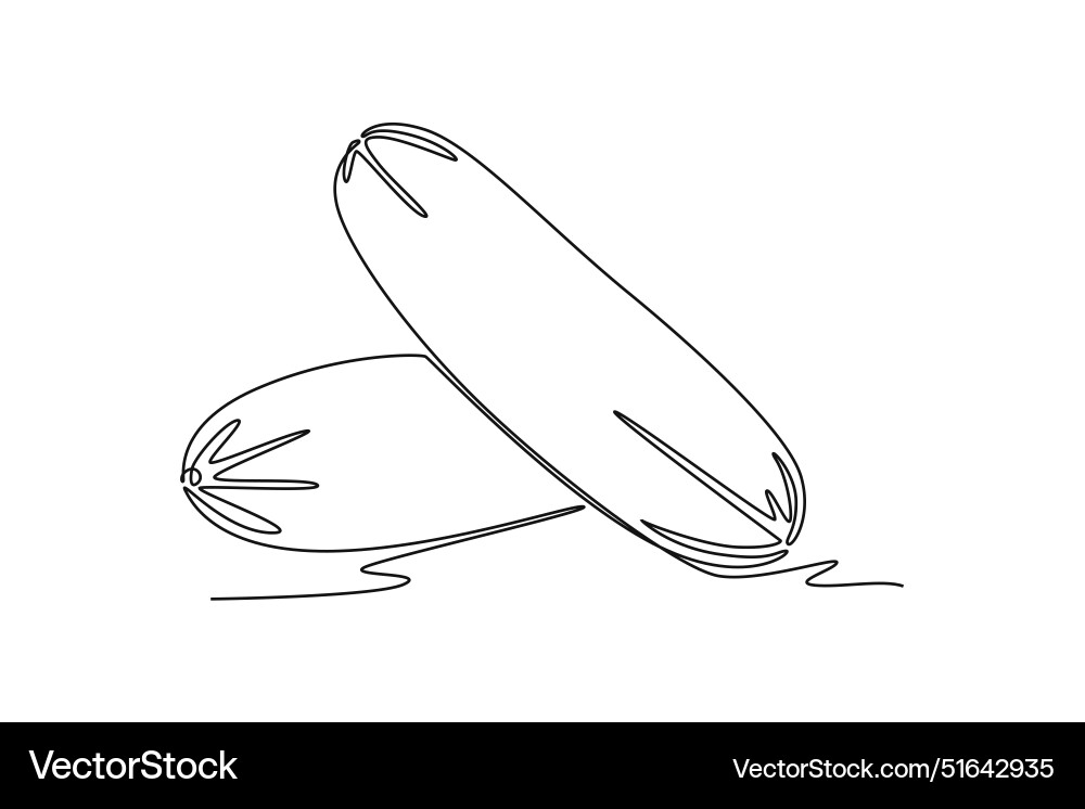 Single continuous line drawing of two whole Vector Image