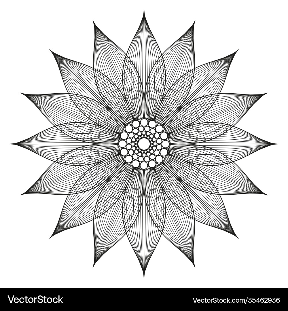 Contouring flower mandala linear drawing Vector Image