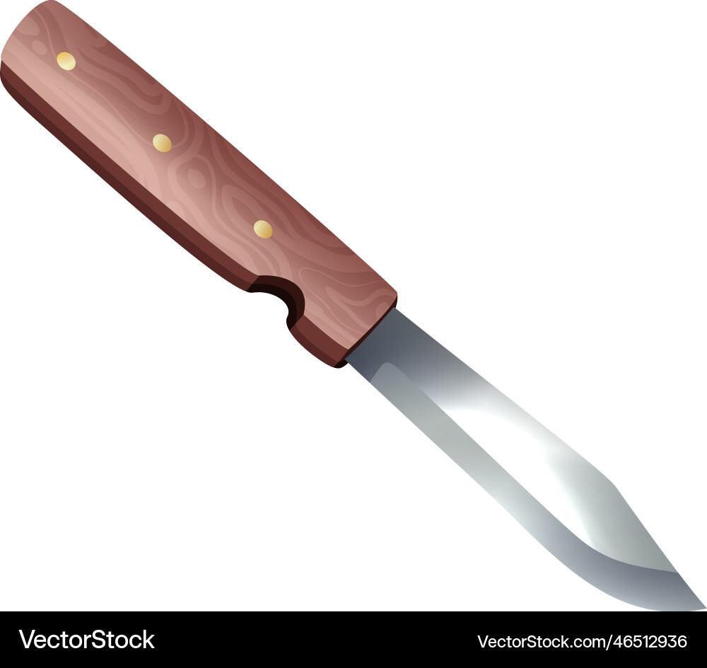 Realistic knife Royalty Free Vector Image - VectorStock