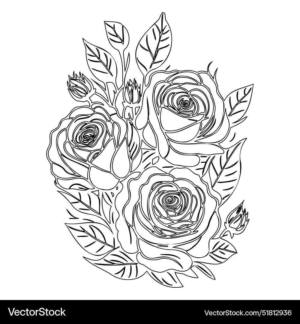 Roses flower outline sketch Royalty Free Vector Image