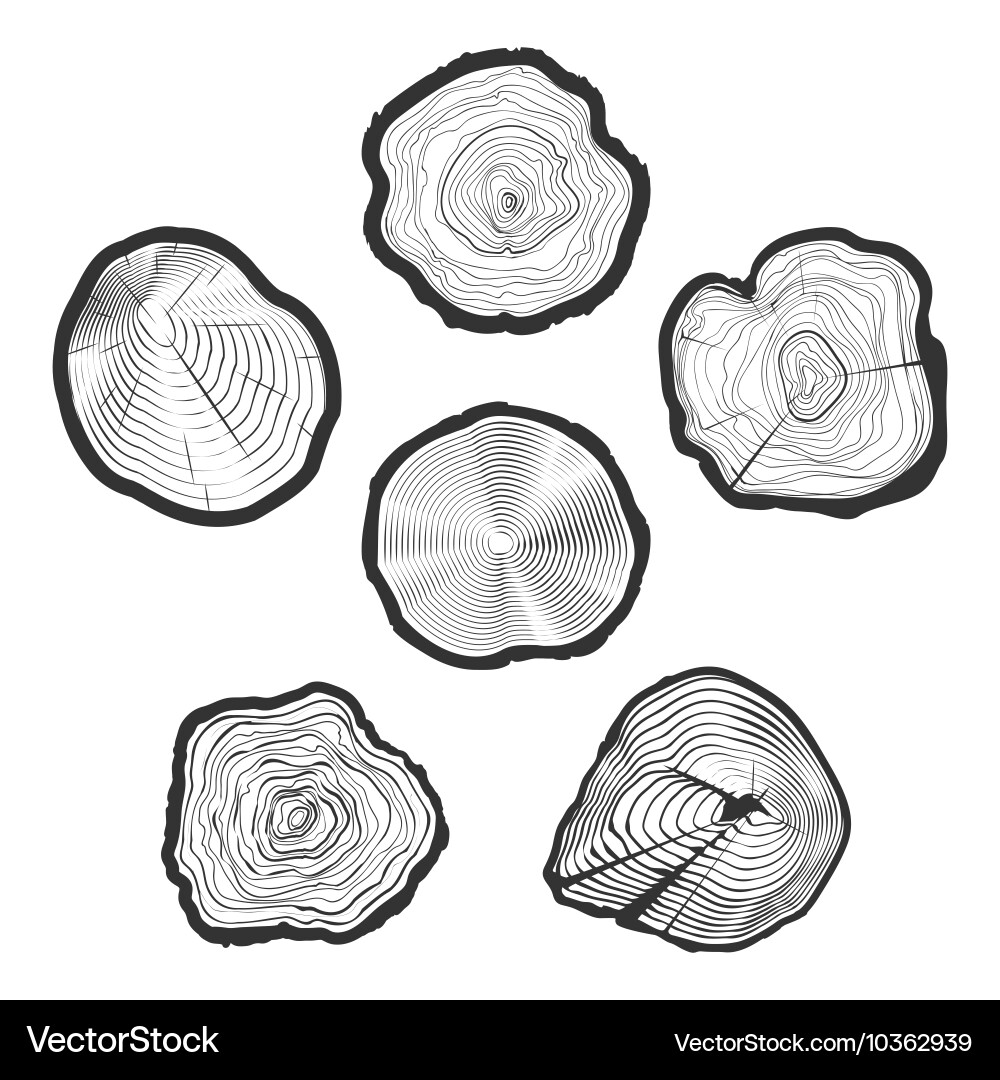 Tree-rings set Royalty Free Vector Image - VectorStock
