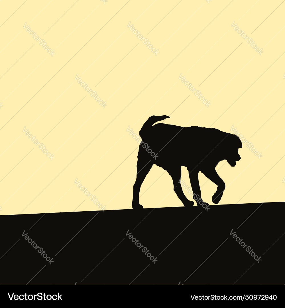 Stray homeless dog Royalty Free Vector Image - VectorStock