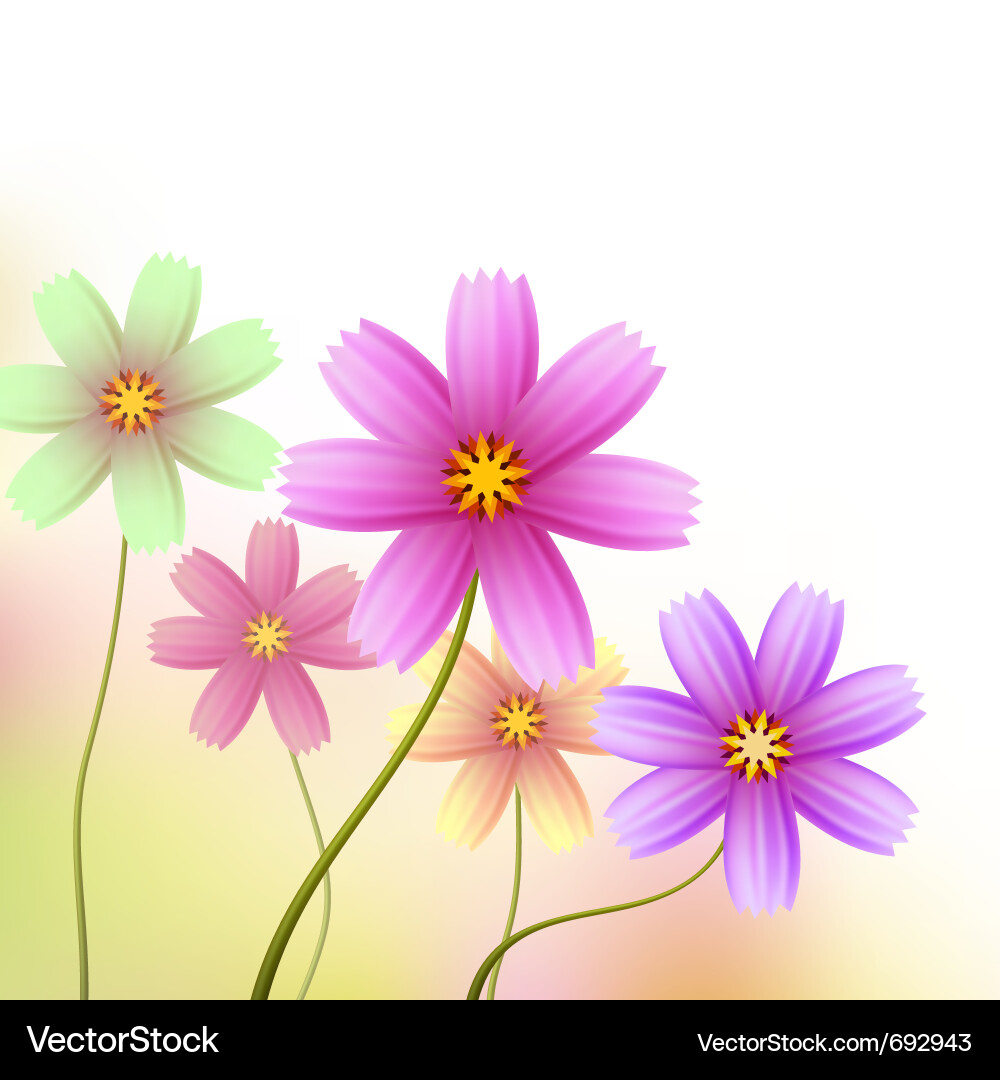 Floral border wallpaper Royalty Free Vector Image