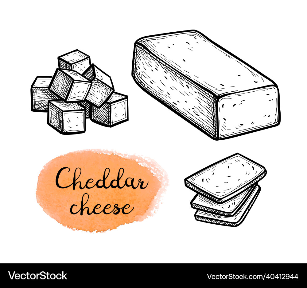 Cheddar cheese set Royalty Free Vector Image - VectorStock
