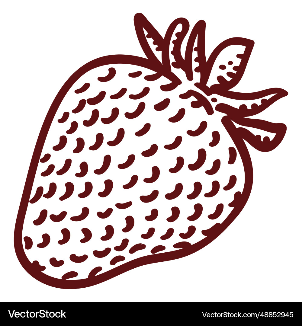 Fresh strawberry stroke Royalty Free Vector Image