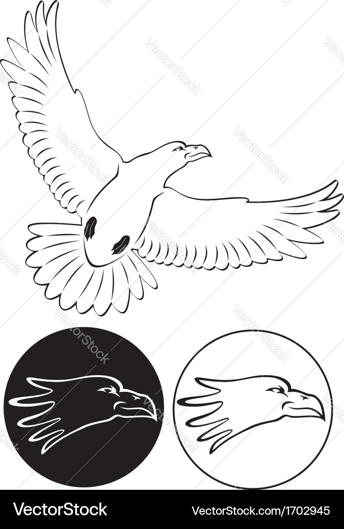 Soaring Eagle Royalty Free Vector Image - VectorStock