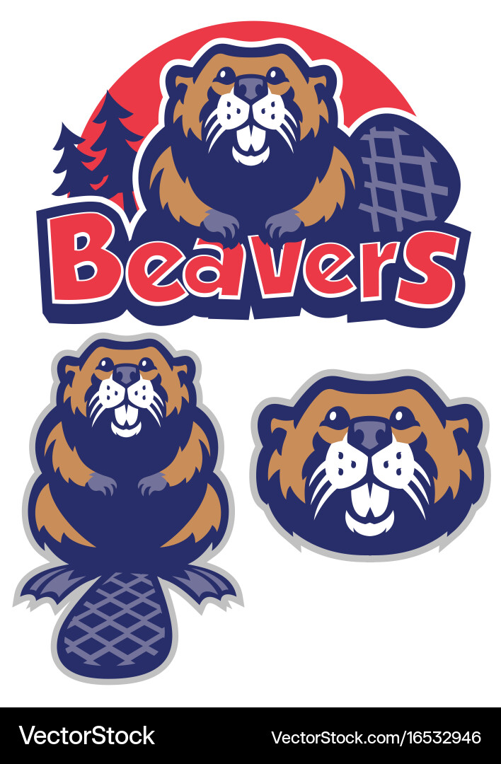 Beaver mascot Royalty Free Vector Image - VectorStock
