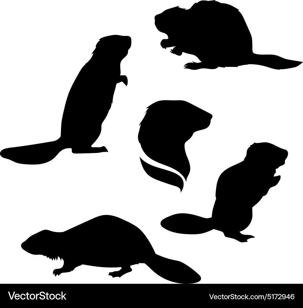 Beaver Set Lizenzfreies Vektorbild - VectorStock