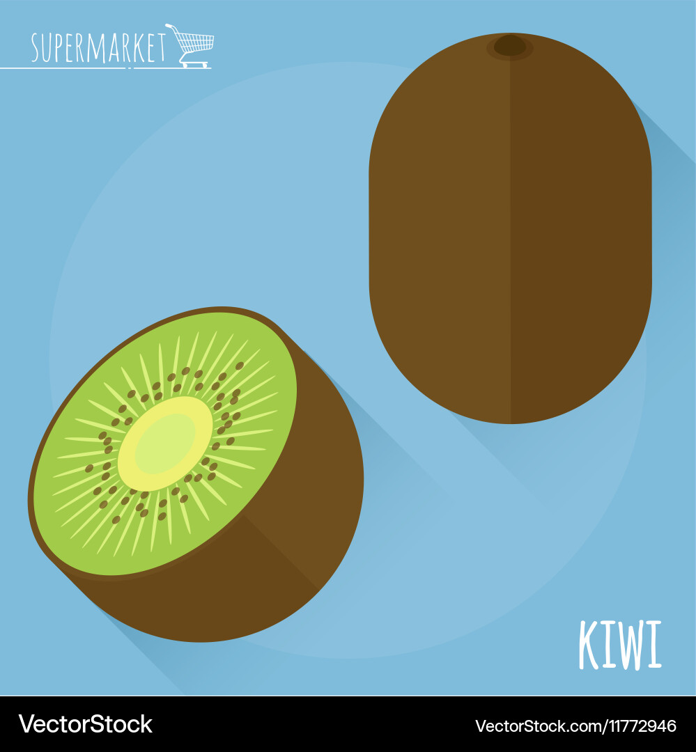 Kiwi icon Royalty Free Vector Image - VectorStock