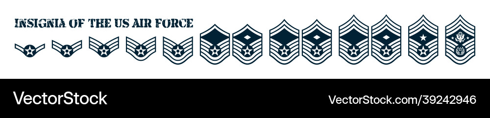 US Air Force Officer Badges & Insignia Vector Image