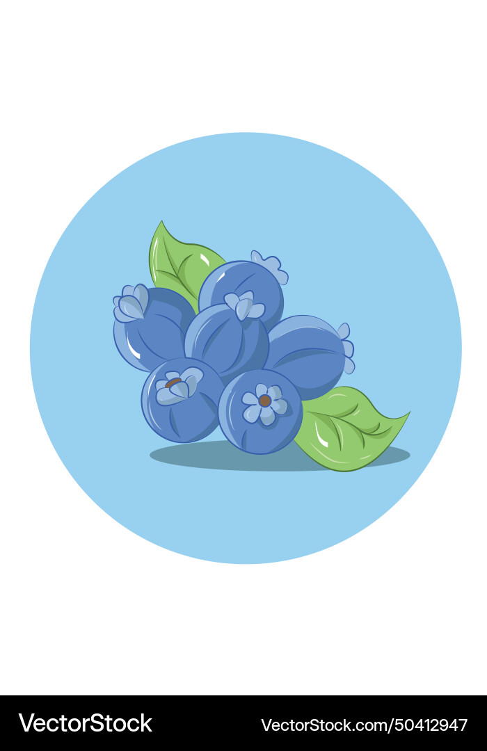 Blueberries Royalty Free Vector Image - VectorStock