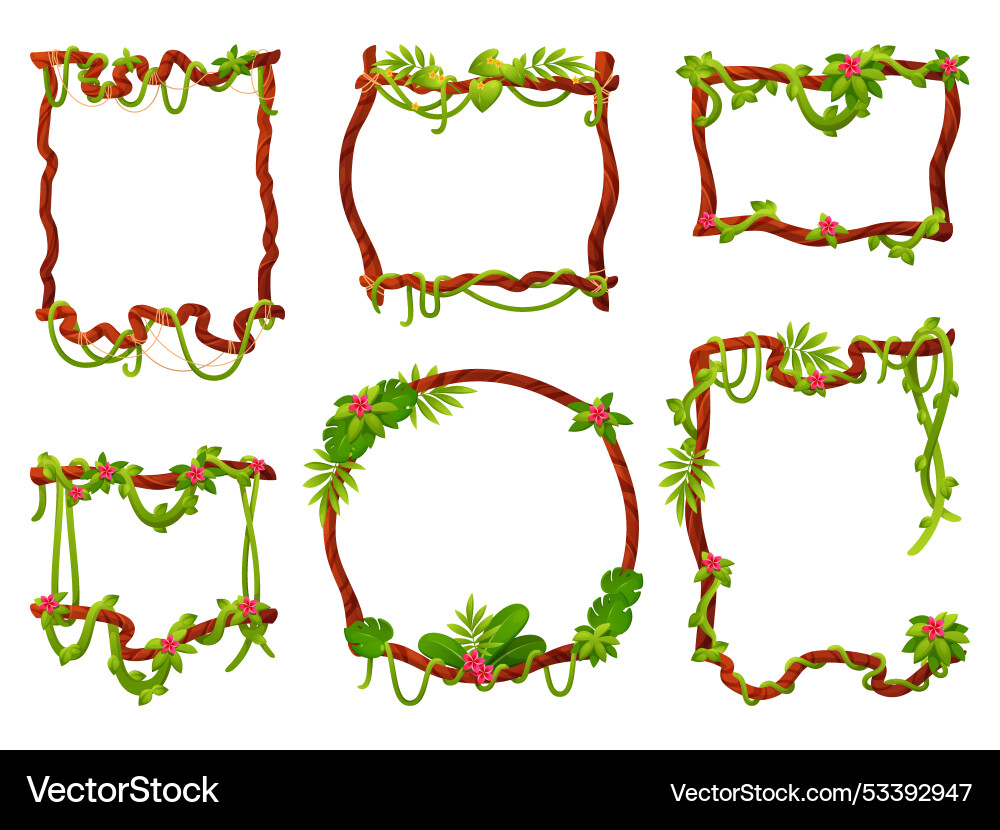 Frames from jungle lianas creeping vines borders Vector Image